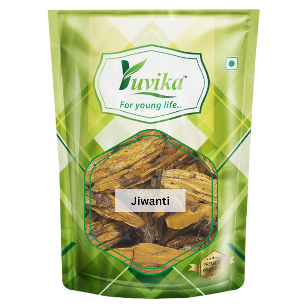 YUVIKA Jivanti stinging nettle benefits