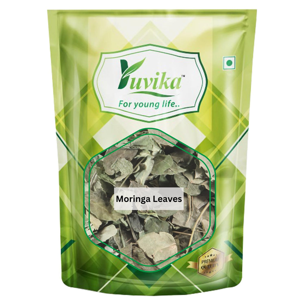 YUVIKA Moringa Leaves superfood benefits