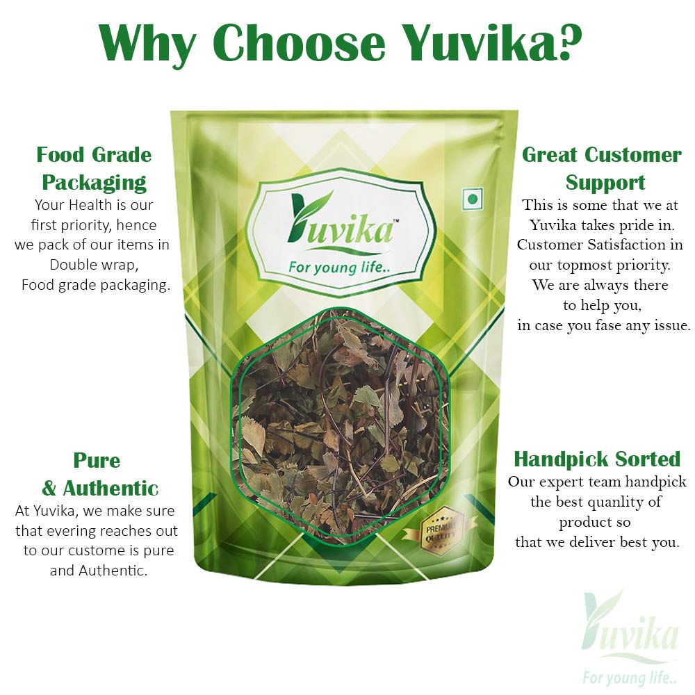 YUVIKA nettle tea for wellness