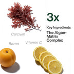 ZAB calcium for strong bones