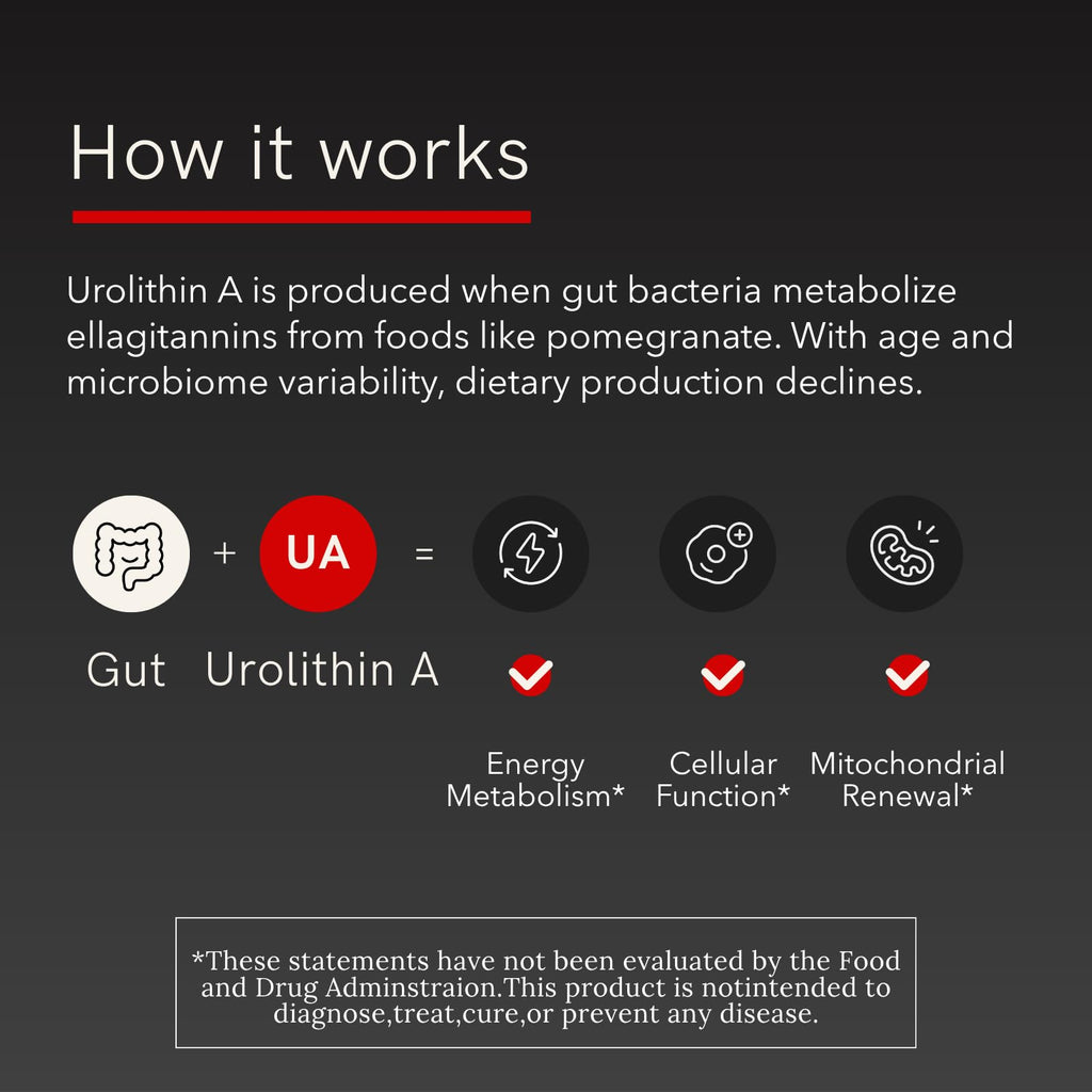ZAB multivitamins for active lifestyles