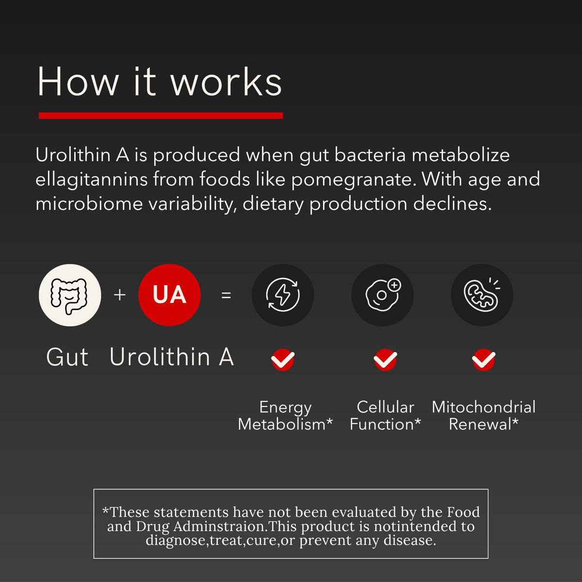 ZAB multivitamins for active lifestyles