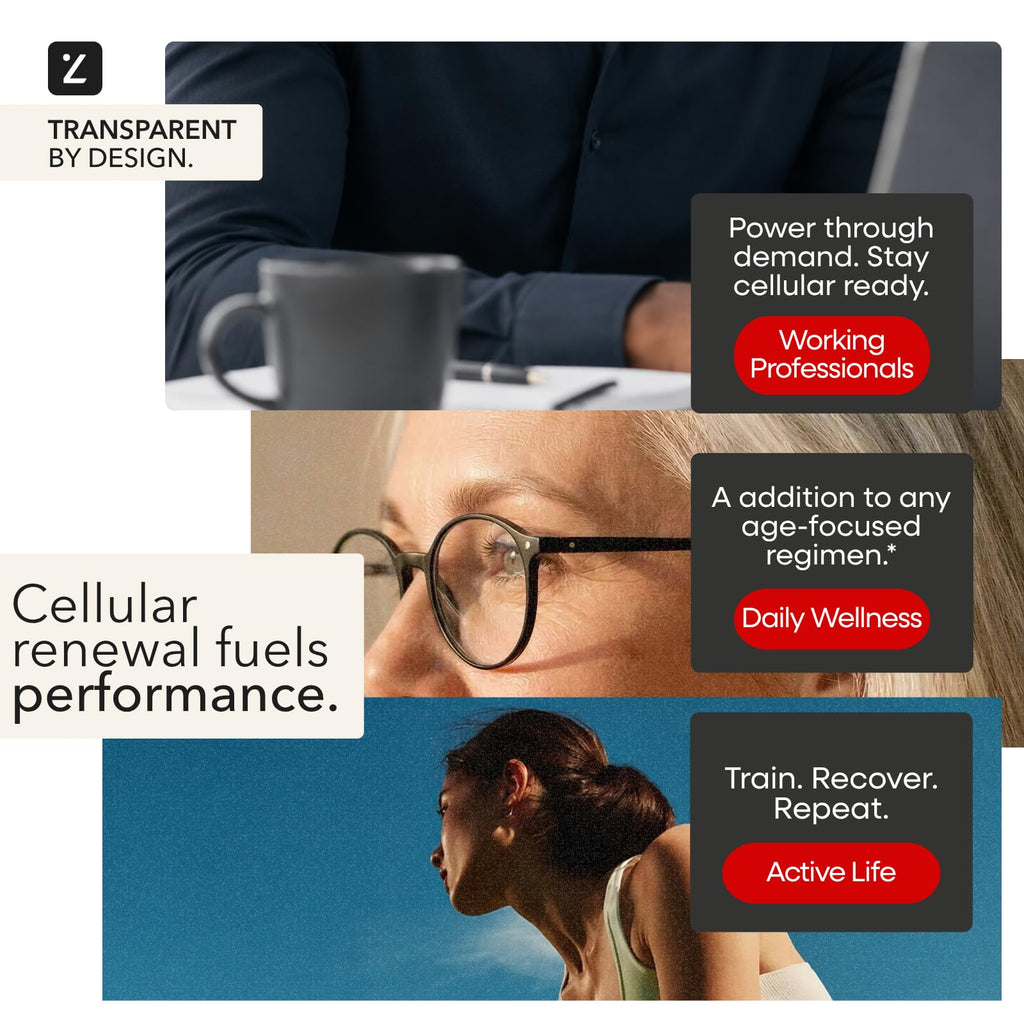 ZAB Urolithin A for enhanced energy
