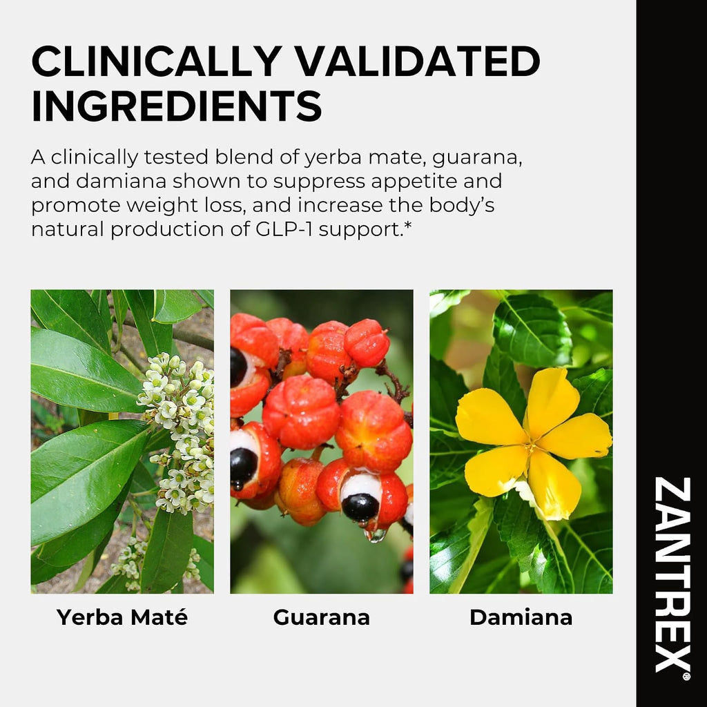 Zantrex energy softgels for active lifestyle