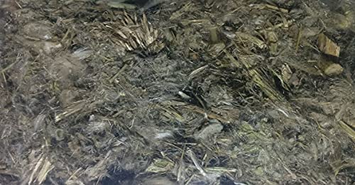 Zaraso milk thistle benefits for wellness