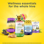 Zarbee's elderberry gummies for everyday health