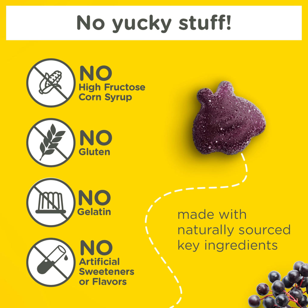 Zarbee's kids elderberry vitamin supplement