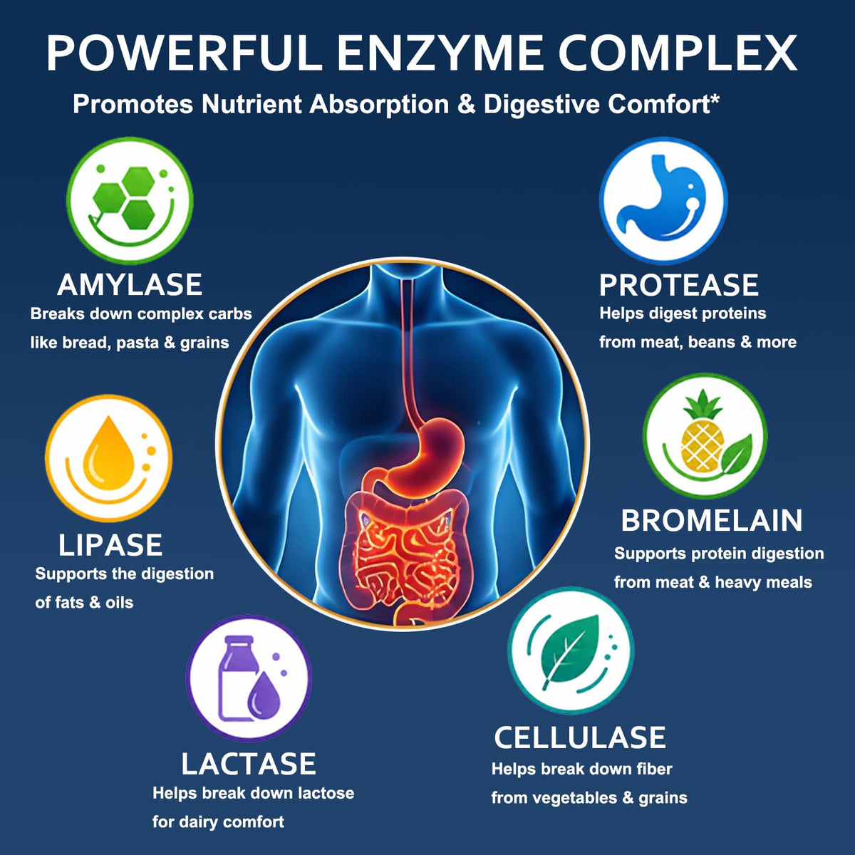 ZAYMAN digestive enzymes for bloating relief