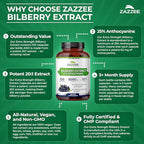 Zazzee bilberry 20:1 extract benefits