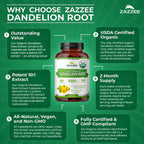 Zazzee herbal dandelion root benefits
