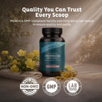 Zeal 1300 mg Evening Primrose oil