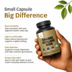 Zealthy Life psyllium husk benefits