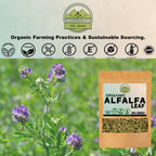 ZeeHERBS alfalfa leaf for healthy lifestyle