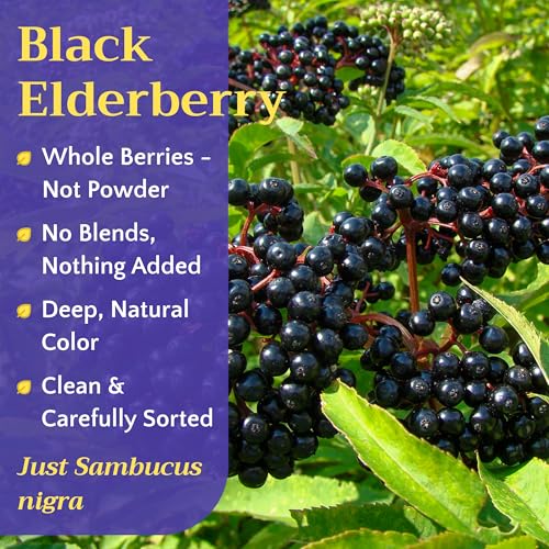 ZEMLYANA black elderberry health benefits