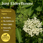 ZEMLYANA elderflower tea for wellness