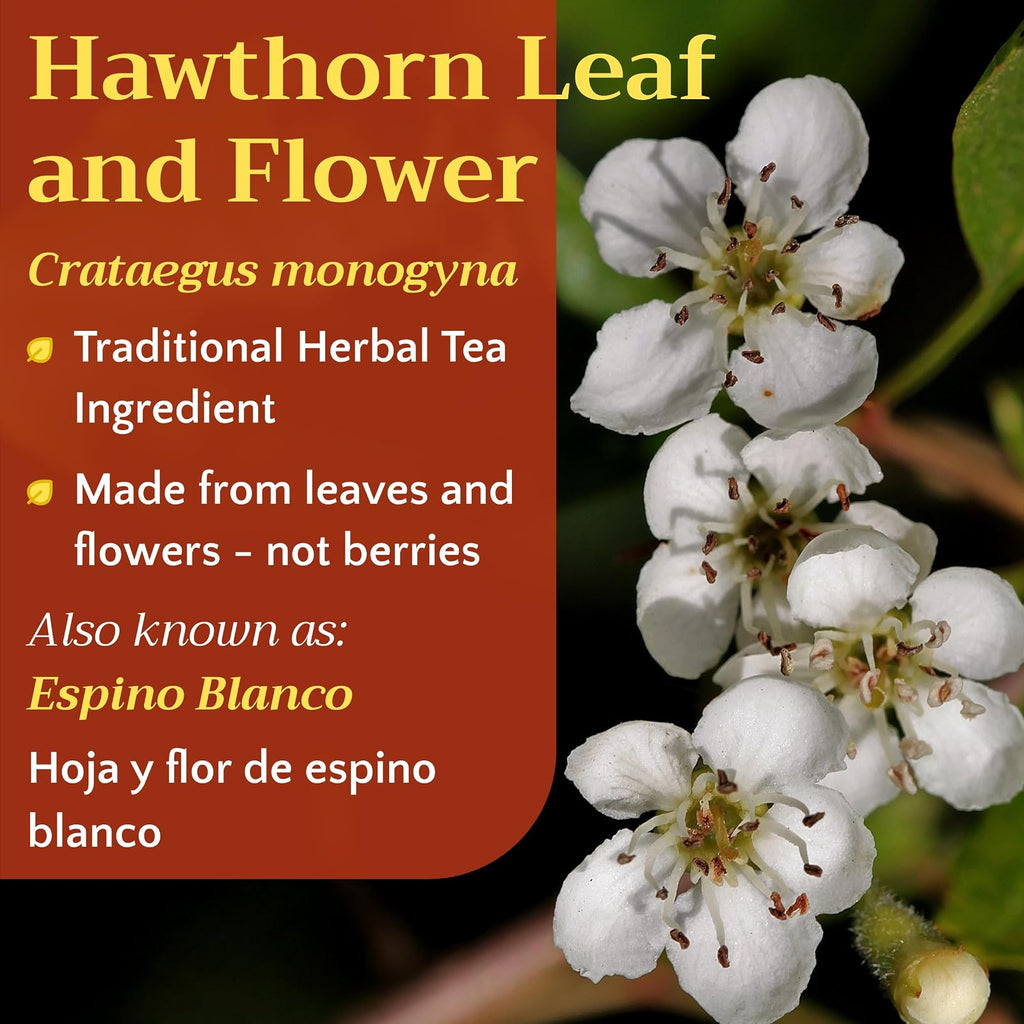 ZEMLYANA herbal tea for heart health