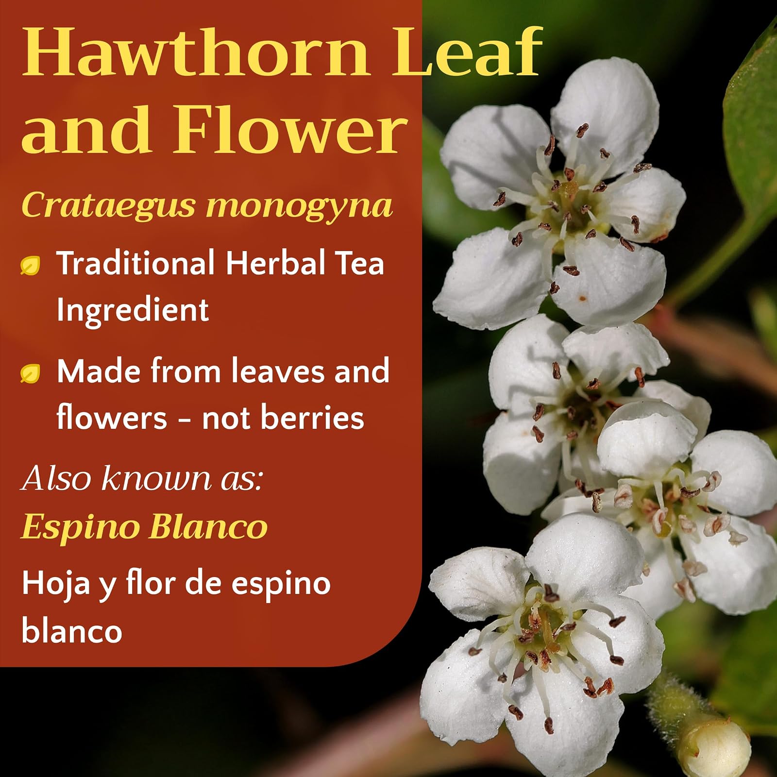 ZEMLYANA herbal tea for heart health