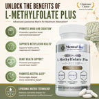 Zen Nutrients folate for energy support