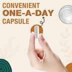 ZenixZephir multivitamins for daily wellness