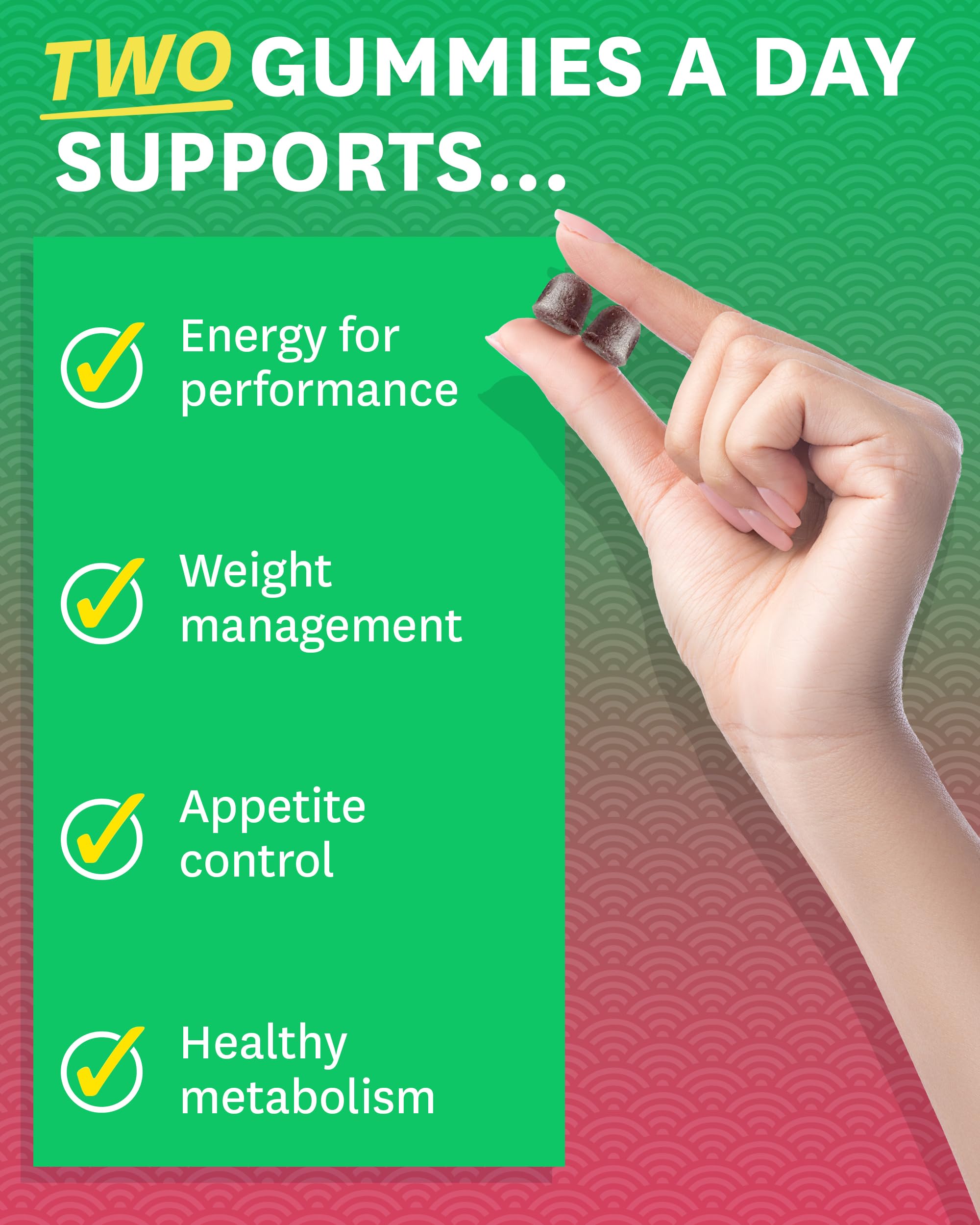 Zenwise Health fat burner benefits