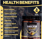 zero sugar shilajit gummies for energy