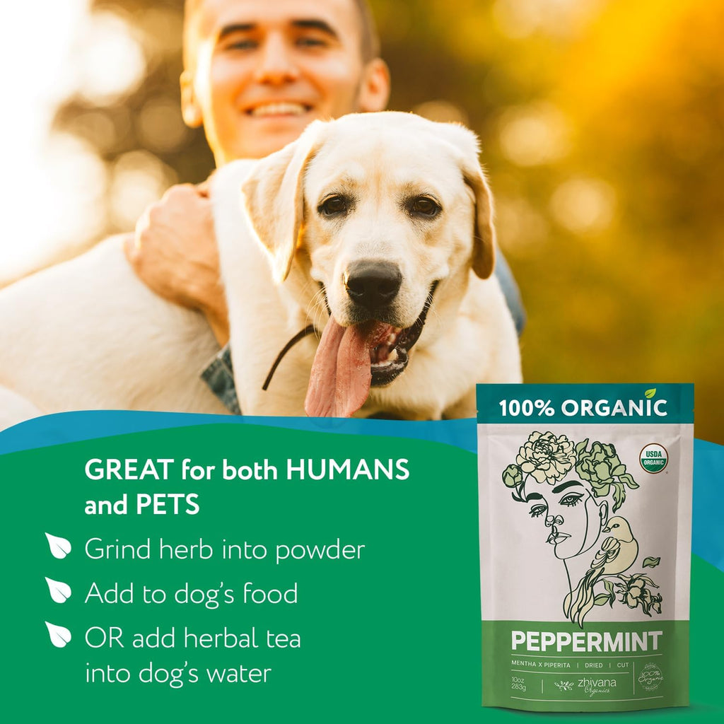 Zhivana Organics peppermint tea benefits
