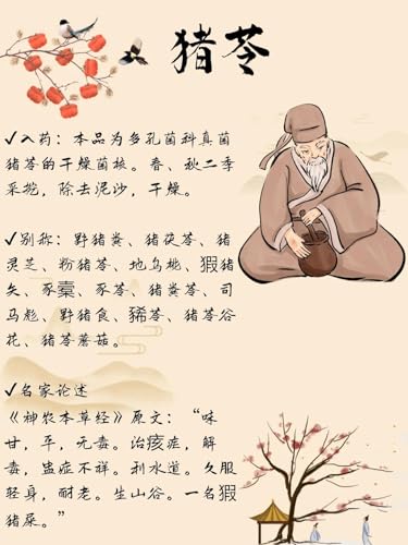 Zhu Ling Pian for holistic health