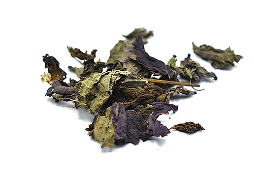 ZI SU YE alfalfa leaf benefits