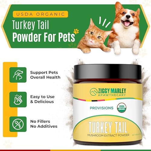 Ziggy Marley mushroom powder for health
