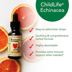 zinc and echinacea for kids health