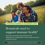 zinc and echinacea for wellness