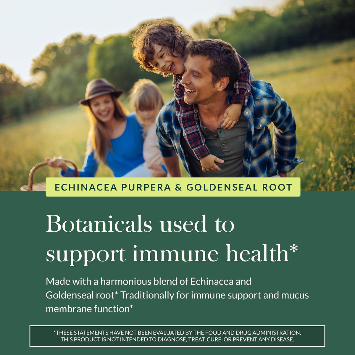 zinc and echinacea for wellness