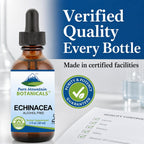 zinc and echinacea immune support