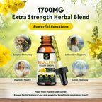Zinc and echinacea in GORNVB Mullein Drops
