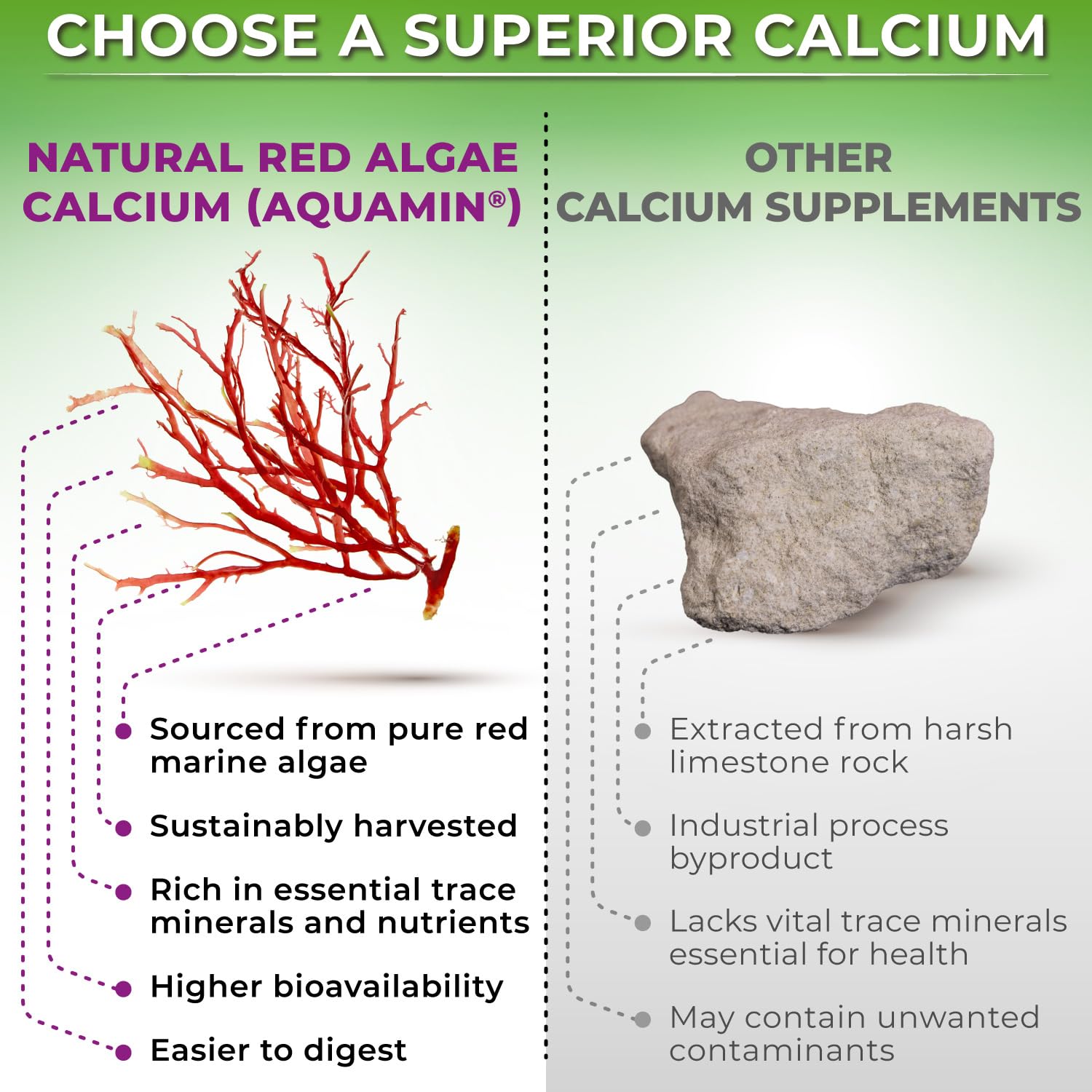 zinc and K2 for stronger bones