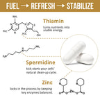 Zinc and spermidine for wellness