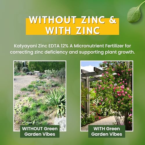 Zinc benefits for immune support