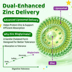 Zinc Bisglycinate drops for overall vitality