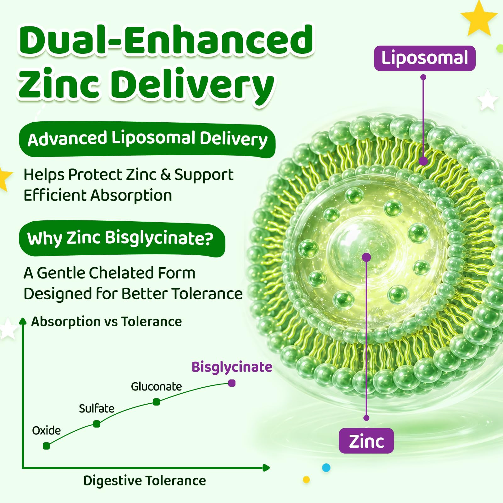 Zinc Bisglycinate drops for overall vitality