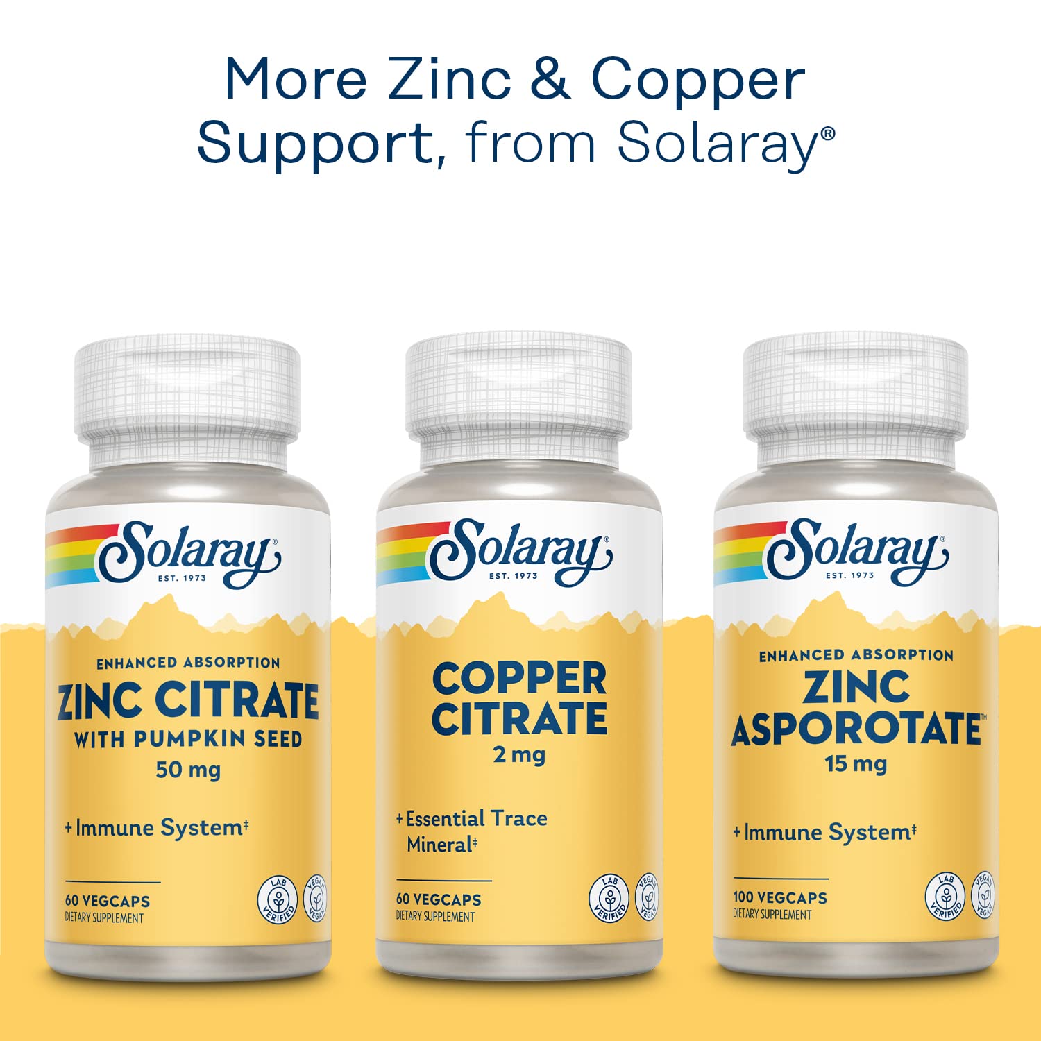 Zinc capsules for daily support