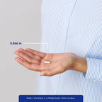 Zinc capsules for daily wellness