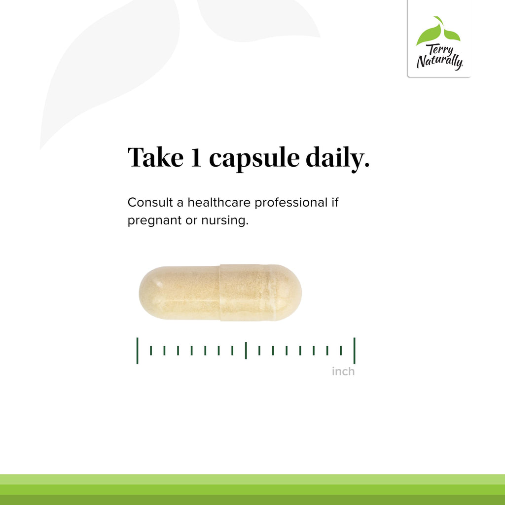 Zinc capsules for enhanced health