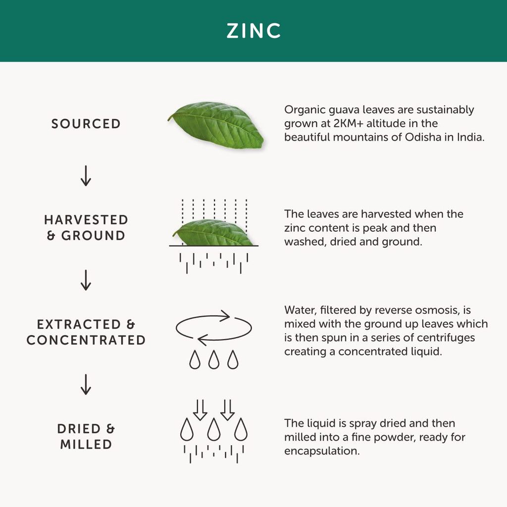 zinc capsules for men and women