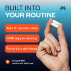 Zinc capsules for men's health