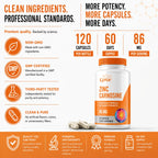 Zinc Carnosine capsules for gut health