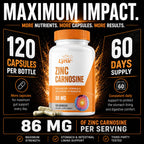 Zinc Carnosine for digestive health