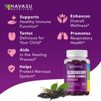 zinc enriched elderberry gummies