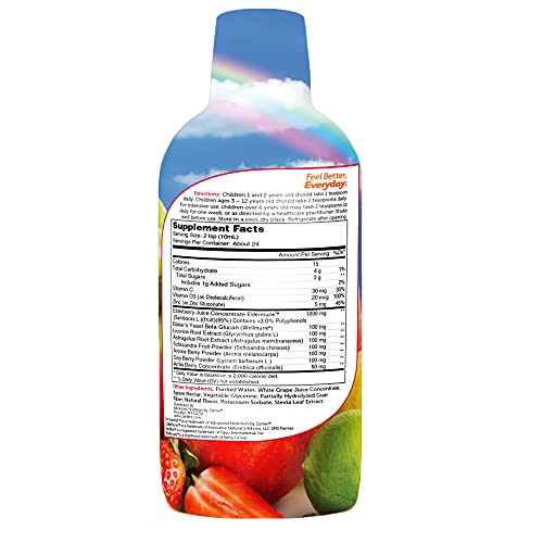 Zinc enriched elderberry liquid formula