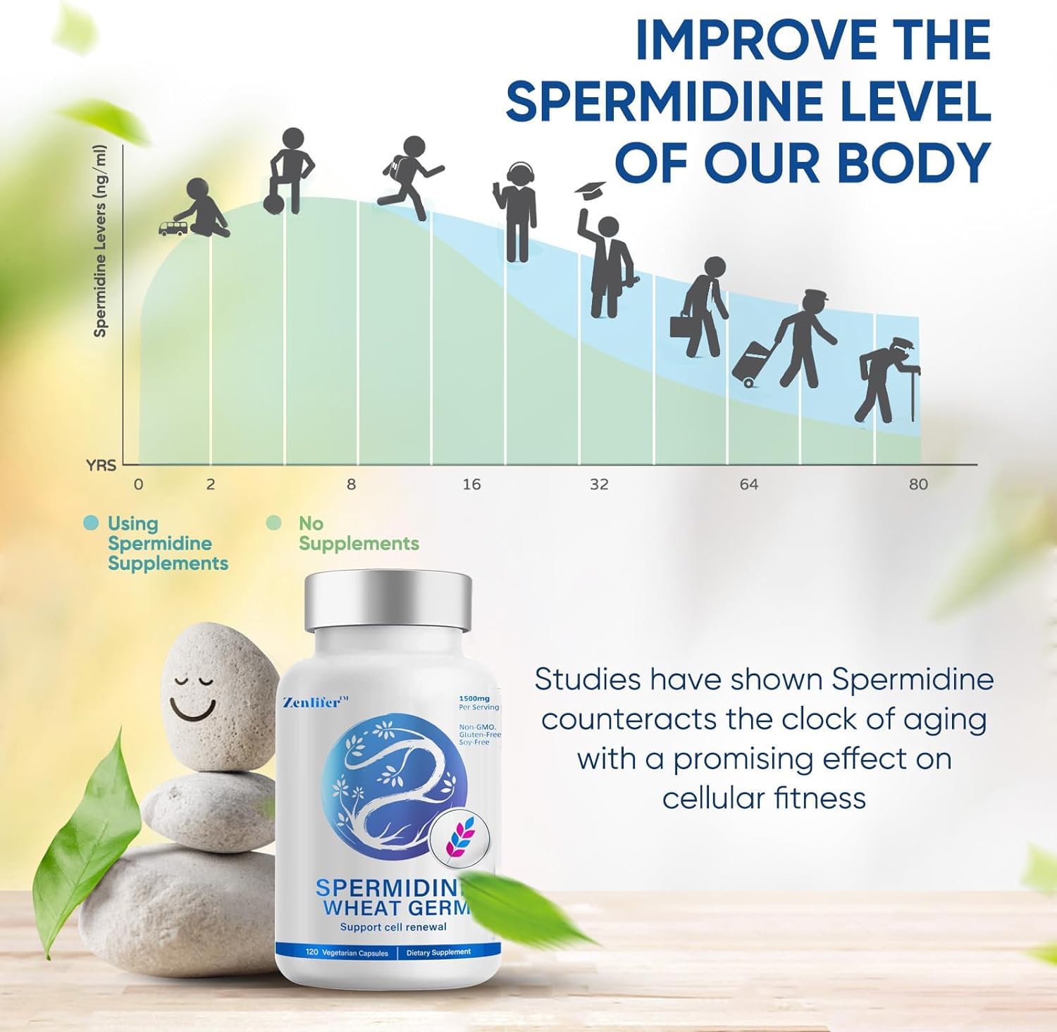 Zinc for improved cognitive function