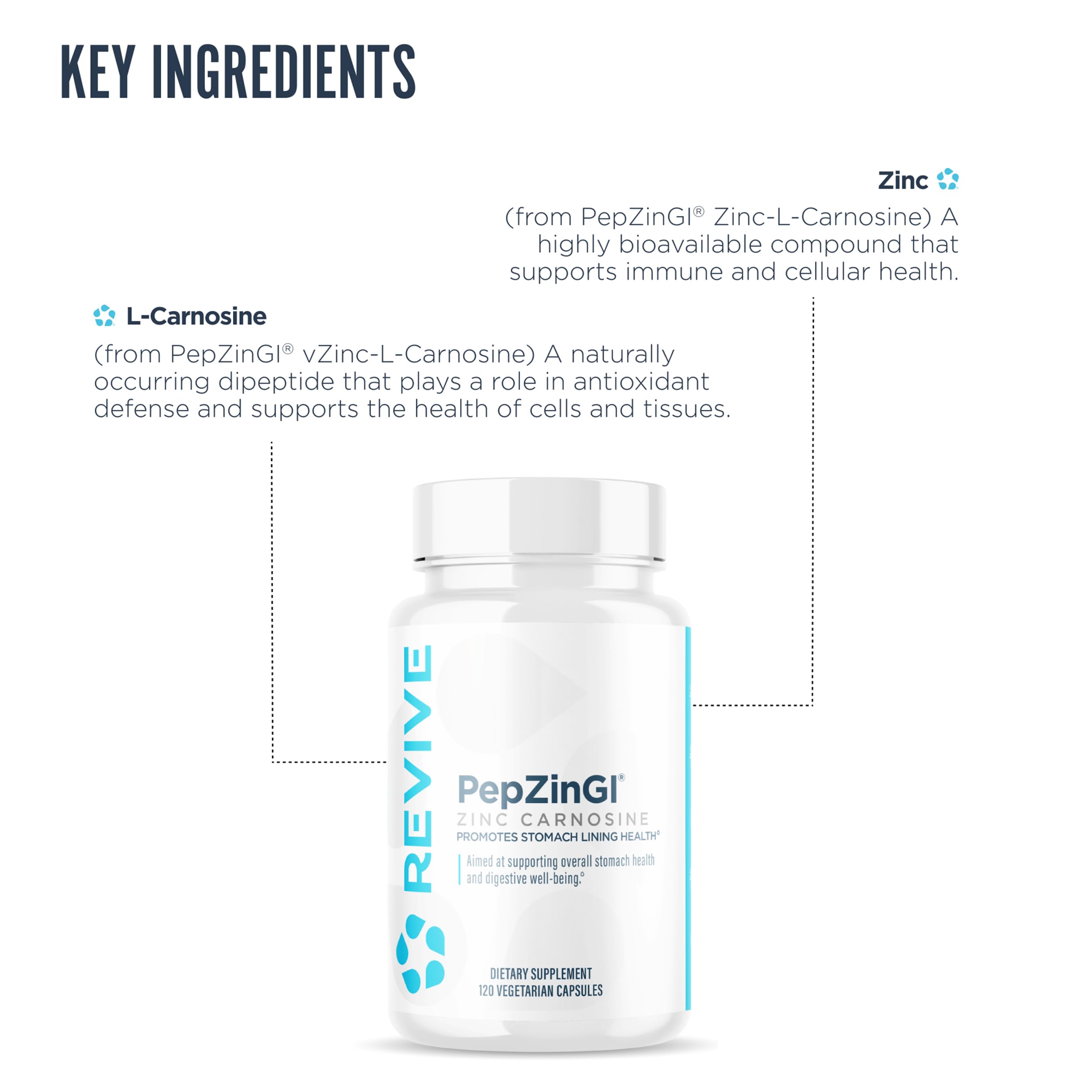 Zinc for men and women wellness